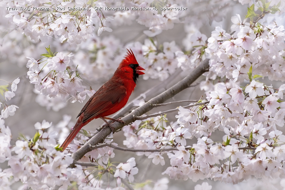 Awarded Gallery 2021 - Salon "CRETE" - Greek Photographic Circuit