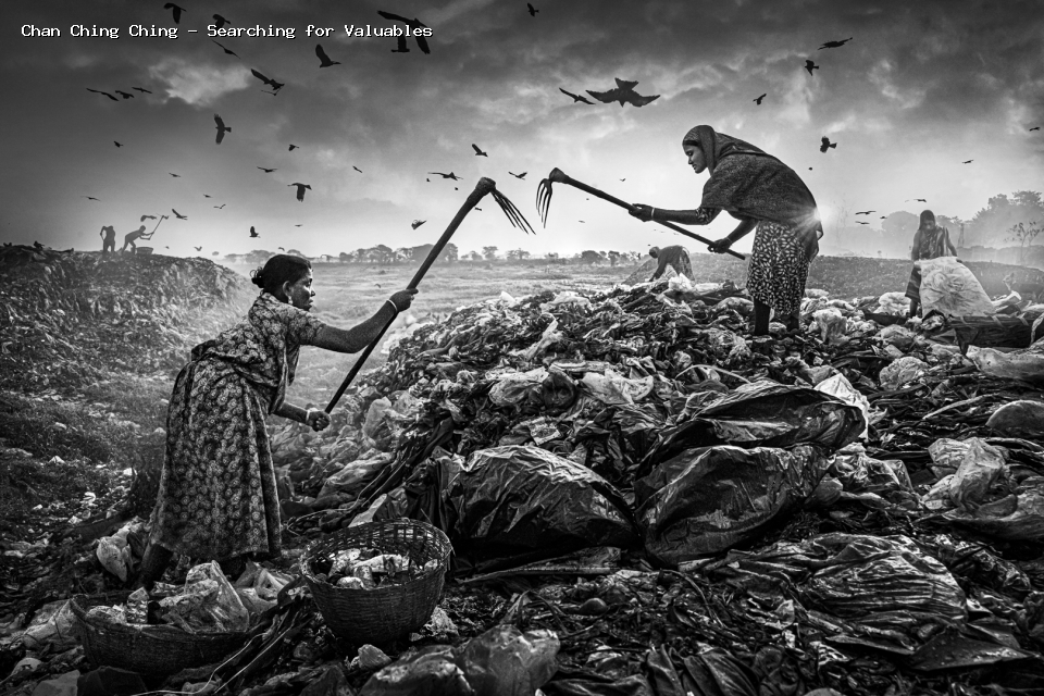 Chan Ching Ching, Hong Kong, Best of Circuit 2021 - Greek Photographic ...