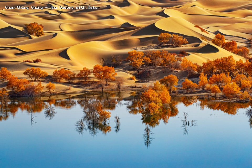 Chan Ching Ching, Hong Kong, Best of Circuit 2021 - Greek Photographic ...