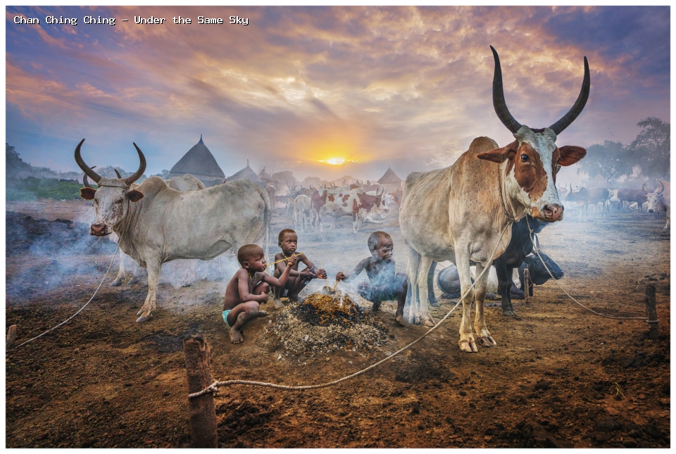 Chan Ching Ching, Hong Kong, Best of Circuit 2021 - Greek Photographic ...